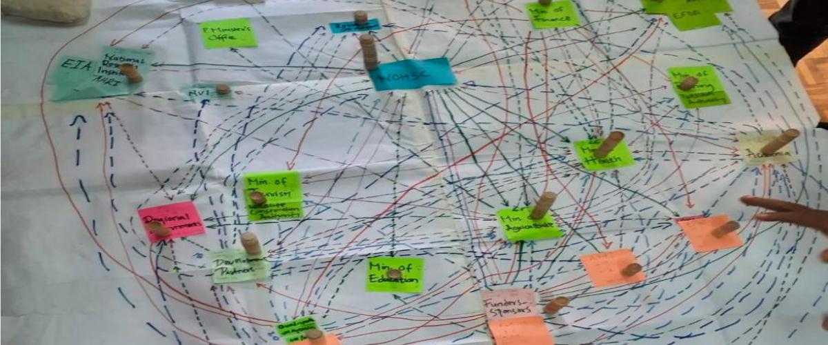 Capacitating One Health in Eastern and Southern Africa: Experiences and Implications in Ethiopia ...